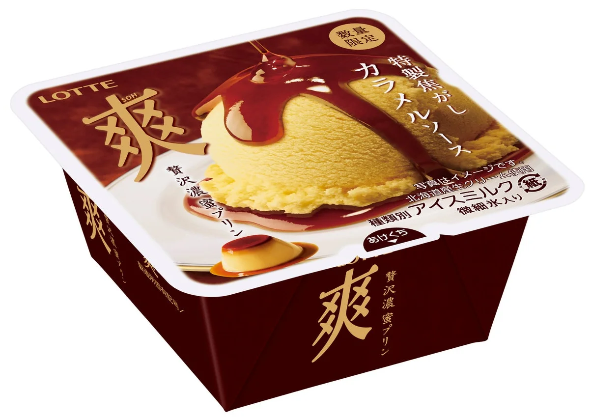 The Legendary Pudding Flavor Returns! Lotte's New 'Soh: Zeitaku ...